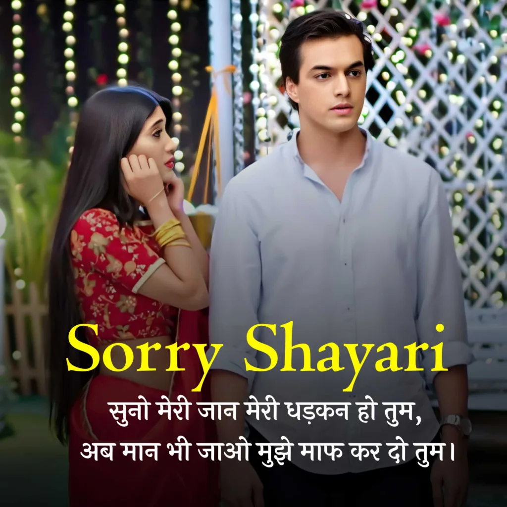Top 20+ Feeling Sorry Shayari In Hindi || सॉरी शायरी हिंदी में